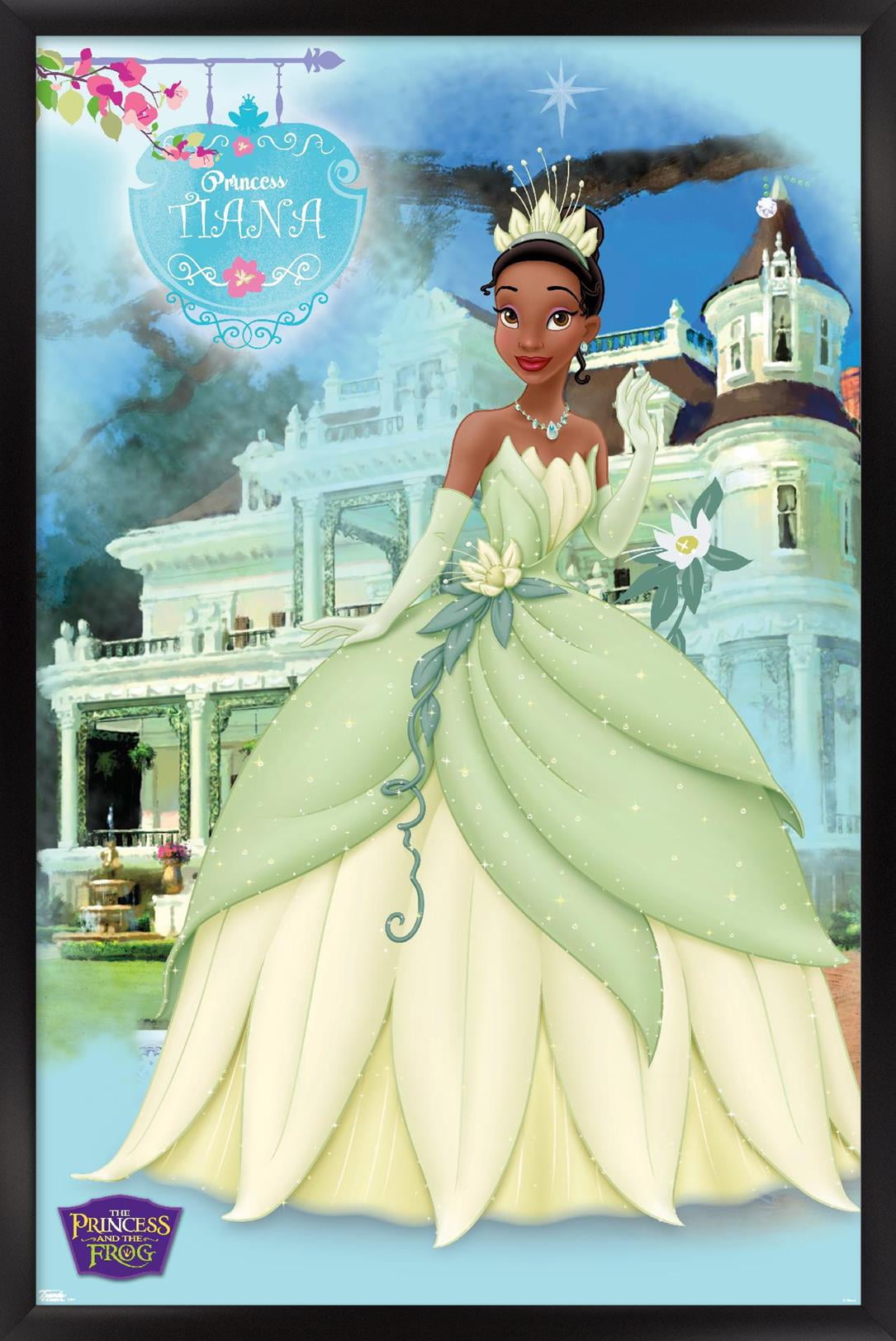 Disney Princess and the Frog - Princess Wall Poster, 22.375" x 34 ...