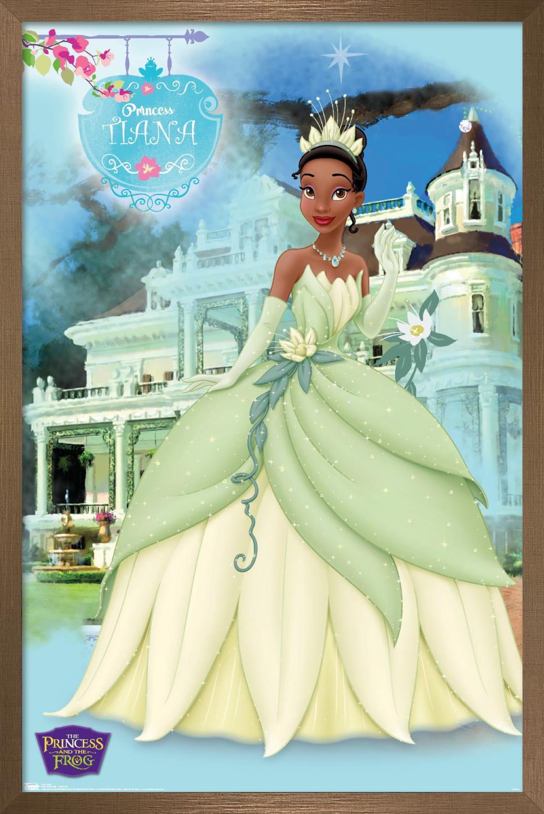 Disney Princess and the Frog - Princess Wall Poster, 22.375" x 34 ...