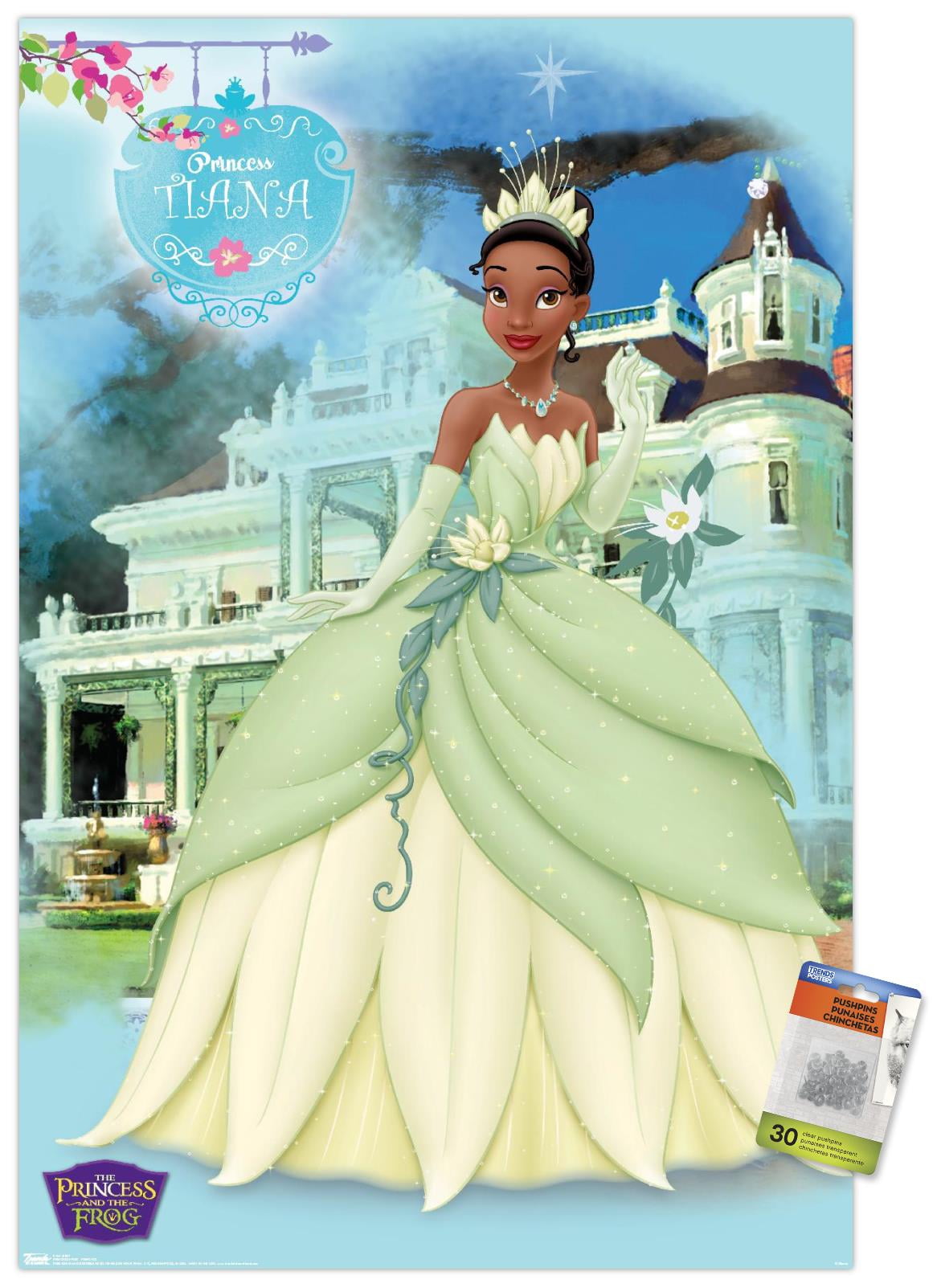 Disney Princess and the Frog - Princess Wall Poster with Push Pins, 22. ...