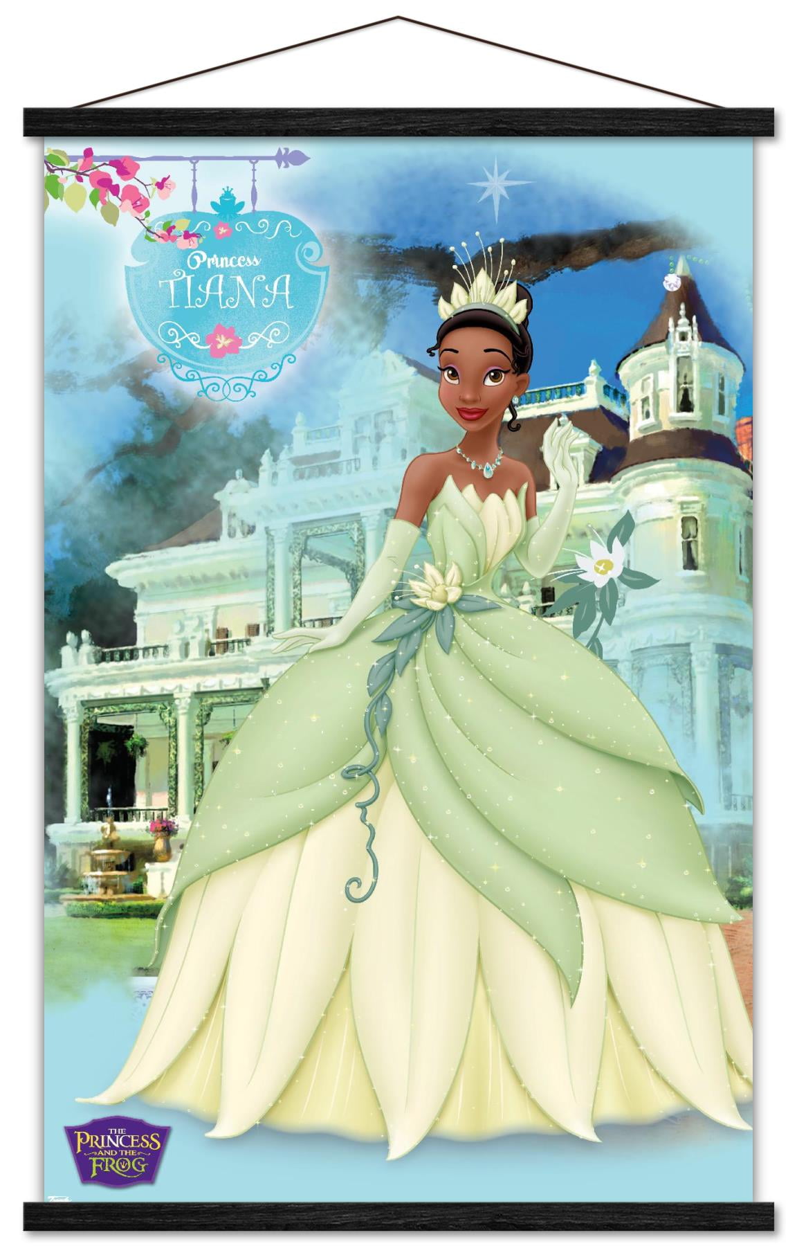 Disney Princess and the Frog - Princess Wall Poster with Wooden ...