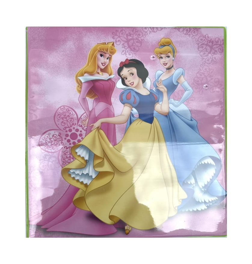 Disney Princesses 3 ring binder - Walmart.com