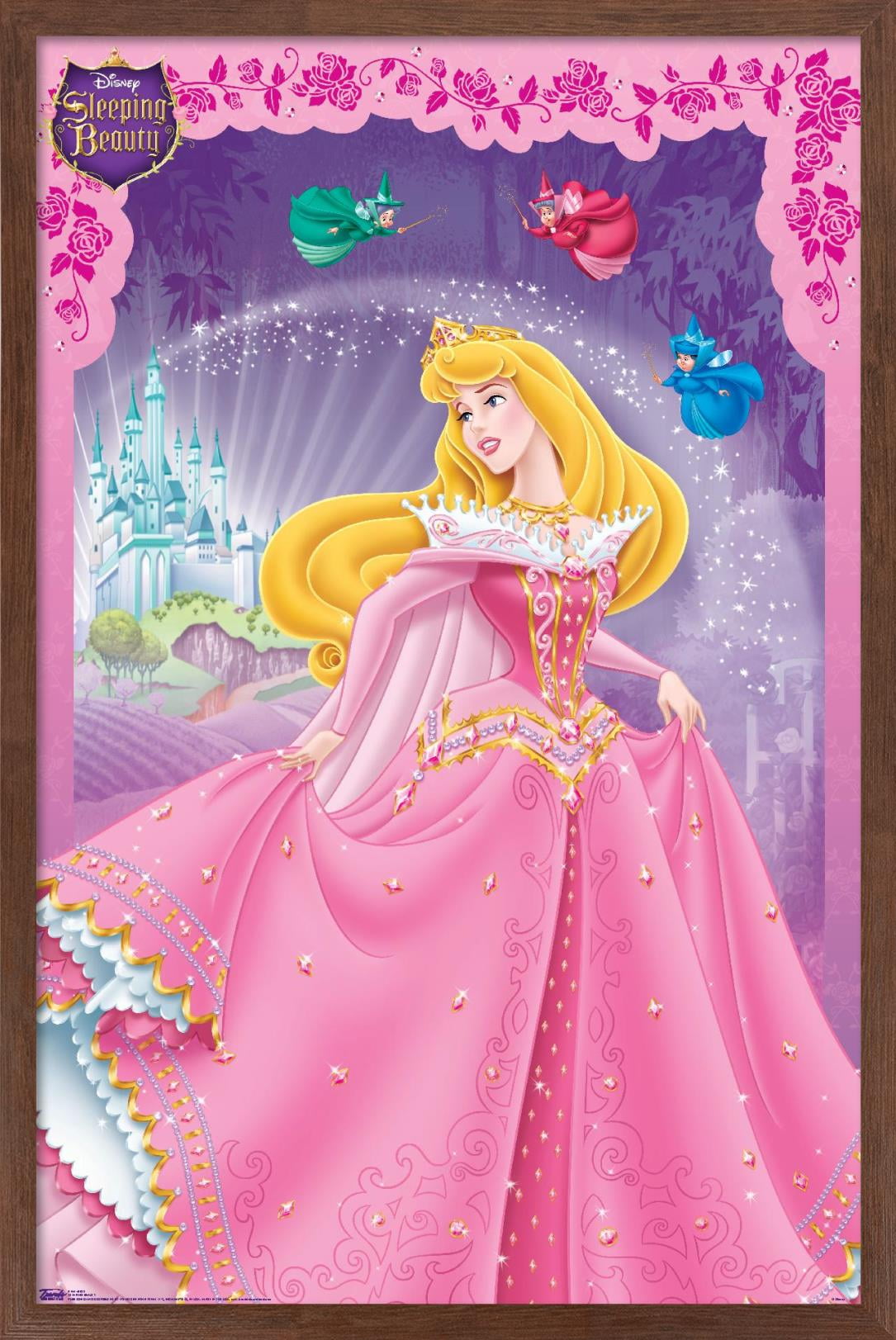 Disney Sleeping Beauty Wall Poster, 14.725" x 22.375" Framed - Walmart.com