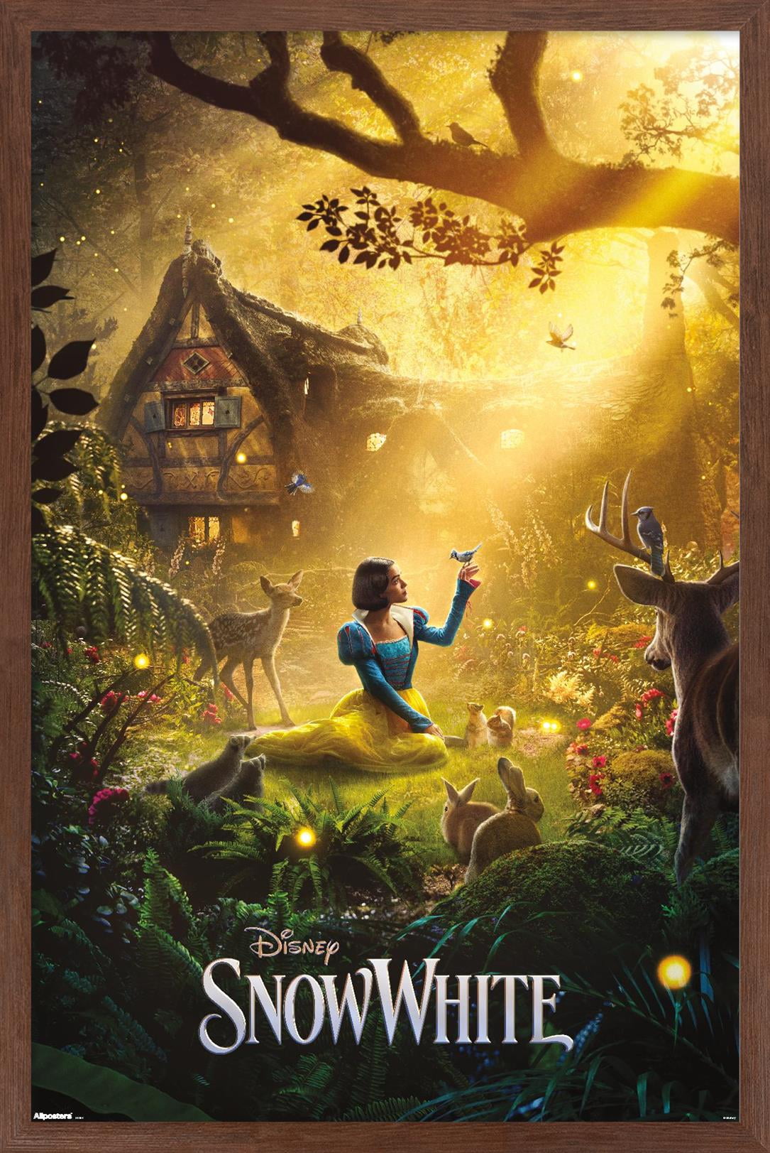 Disney Snow White: Live Action - One Sheet Wall Poster, 14.725" x 22. ...