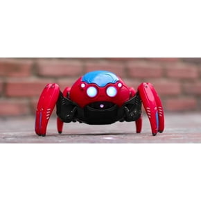 Robotic Spider