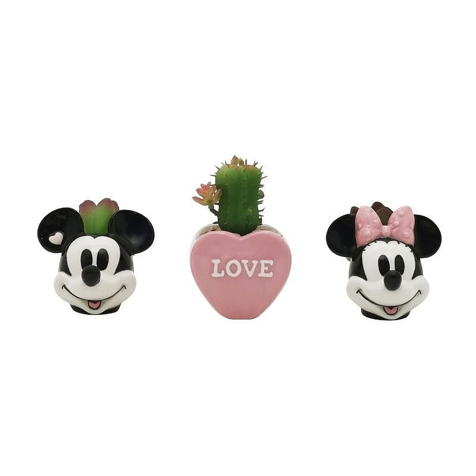 Disney Succulent Trio by Celebrate Together, Multicolor - Walmart.com