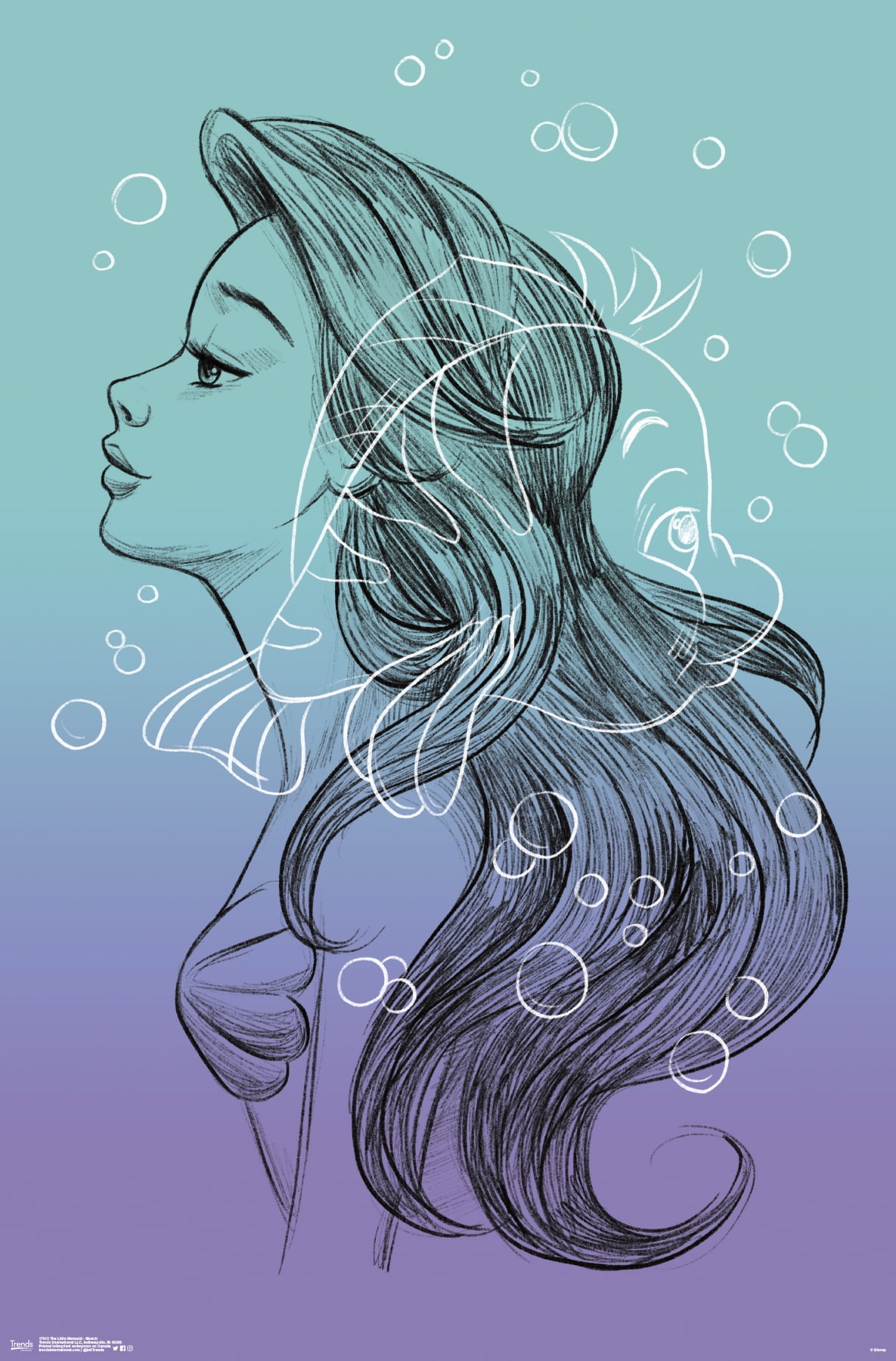 Disney The Little Mermaid - Sketch Wall Poster, 22.375" x 34" - Walmart.com