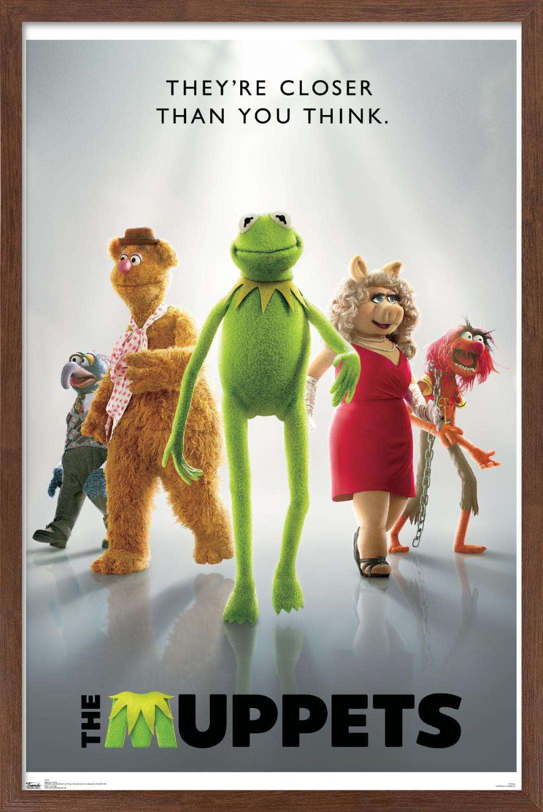 Disney The Muppets - Group Wall Poster, 14.725" x 22.375", Framed ...