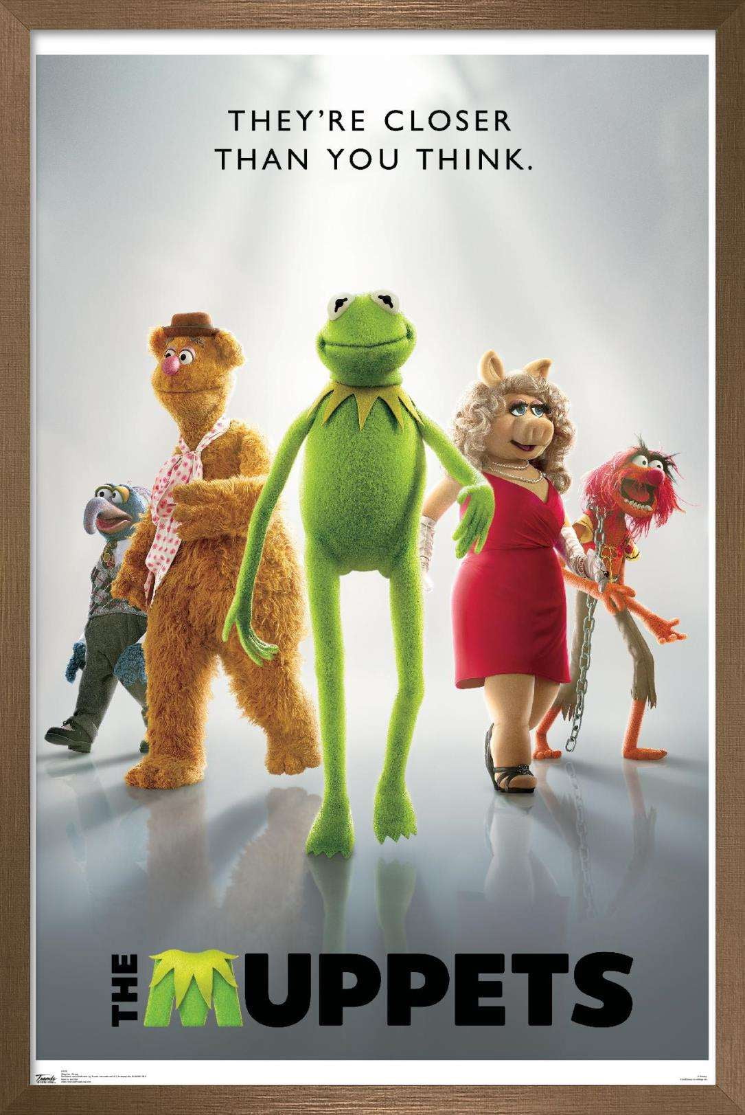 Disney The Muppets - Group Wall Poster, 22.375" x 34", Framed - Walmart.com