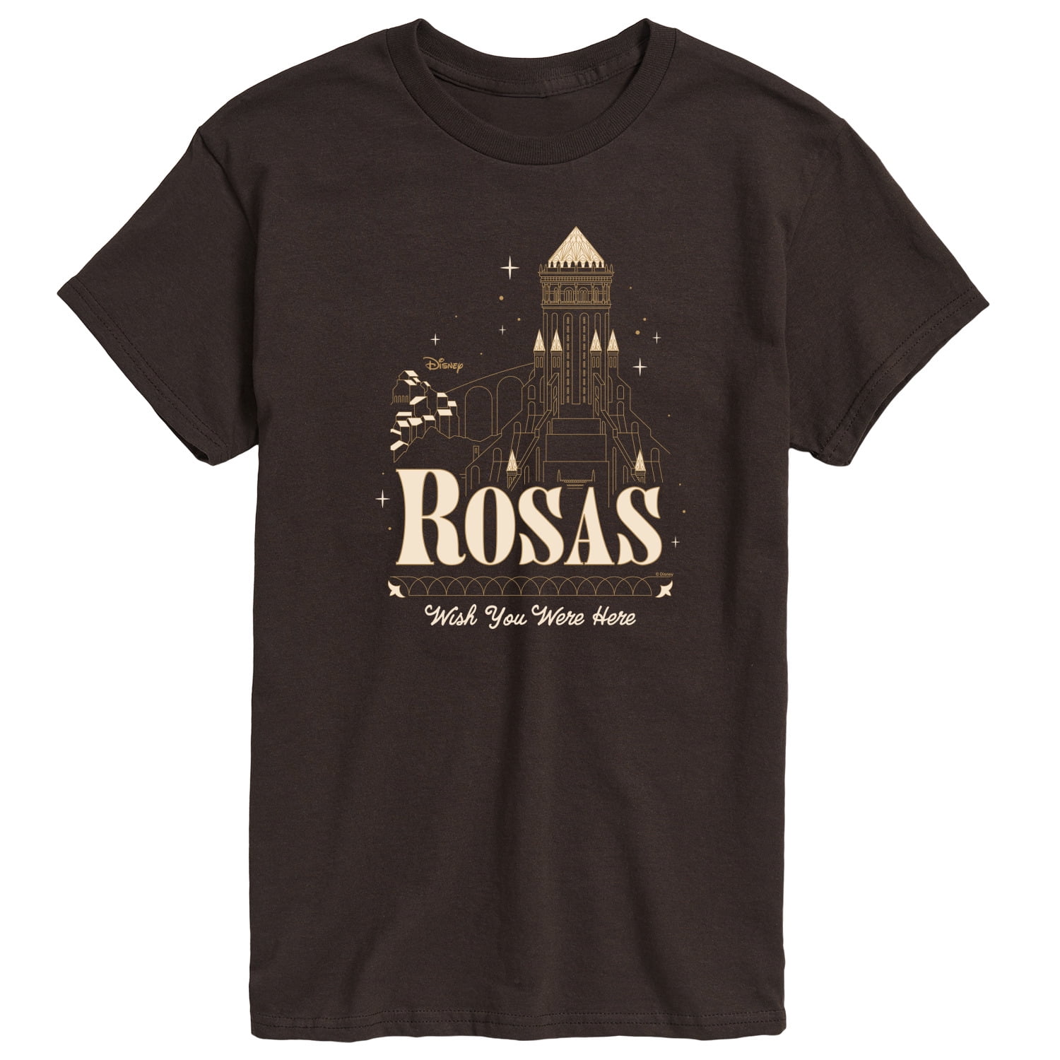 Disney Wish - Rosas Wish You Were Here - Men's Short Sleeve Graphic T ...