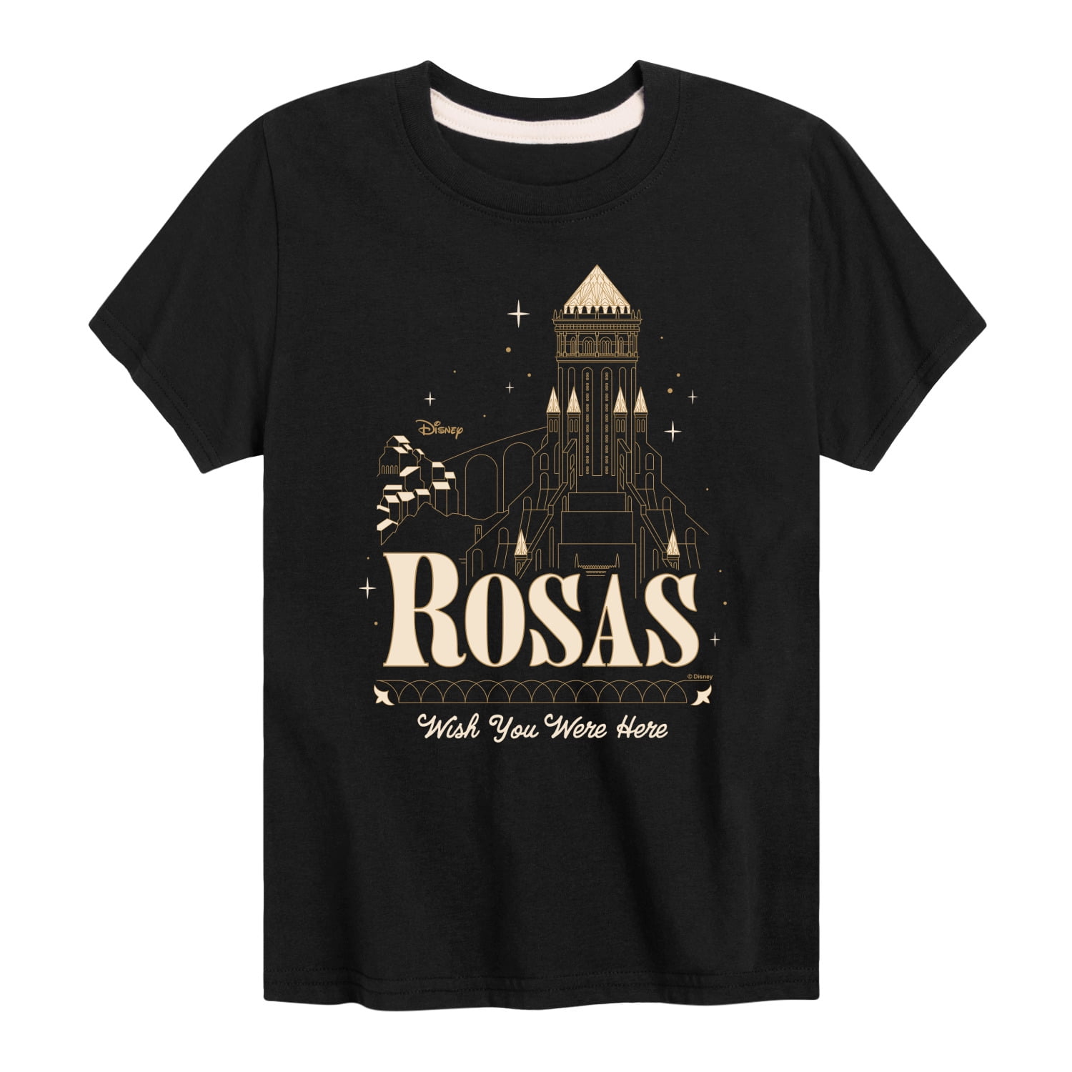 Disney Wish - Rosas Wish You Were Here - Toddler & Youth Short Sleeve ...