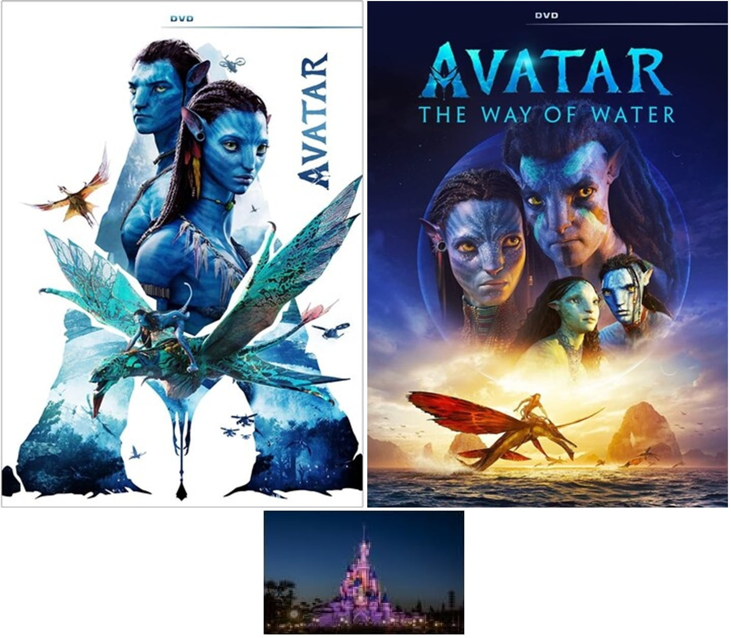 Disney's AVATAR & AVATAR 2 THE WAY OF WATER DOUBLE FEATURE 2 DVD Movie ...