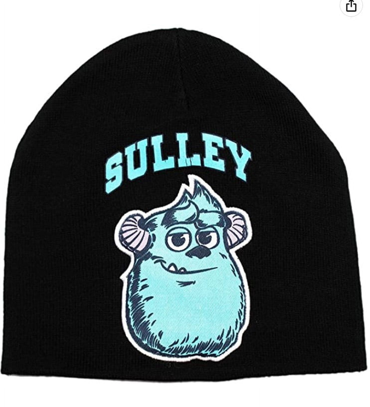 Disney's Monsters University Black Sully Graphic Beanie - Walmart.com