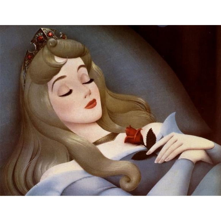 Sleeping Beauty Aurora Briar Rose Princess Aurora / Briar Rose