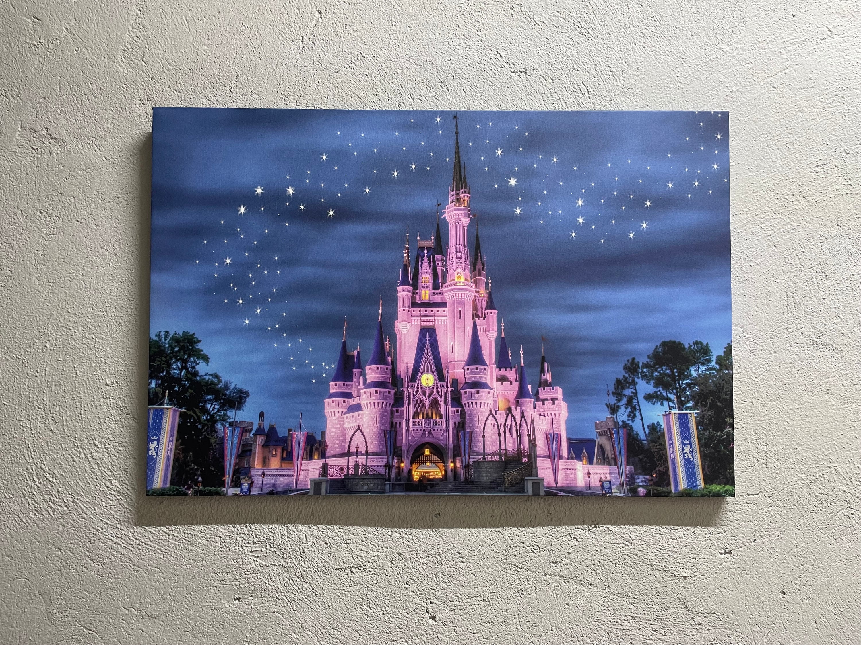 Disneyland Printed, Cinderella Castle Wall Decor, Starry Sky Wall Decor ...
