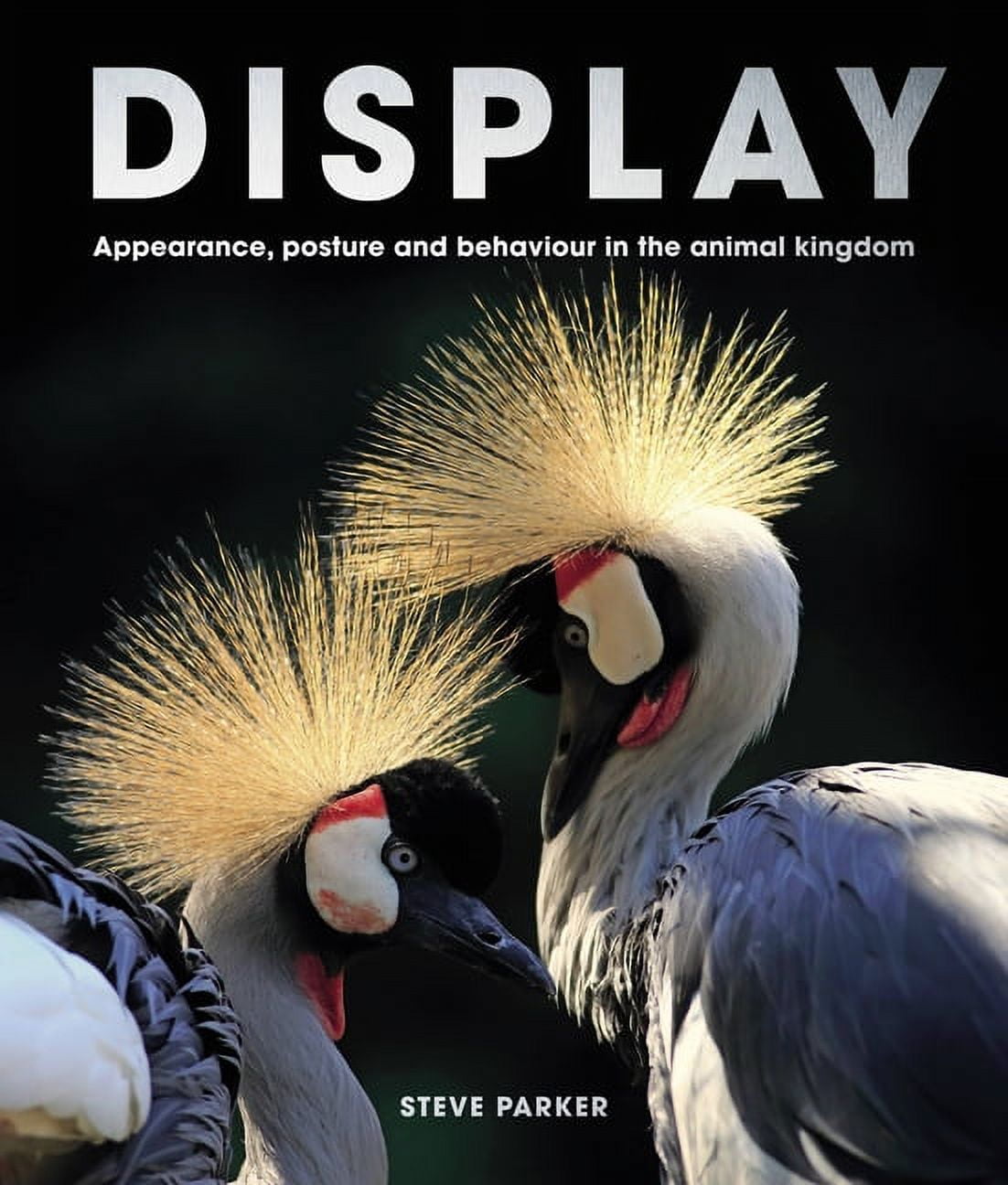 Display: Appearance, Posture and Behaviour in the Animal Kingdom ...
