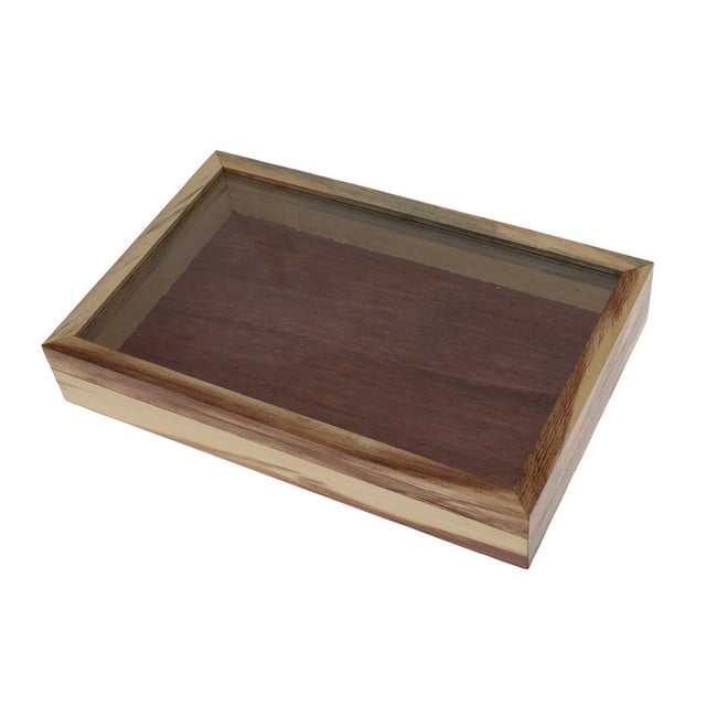 Display Case Box Insect Small Glassshadow Jerseycollectibles Small ...