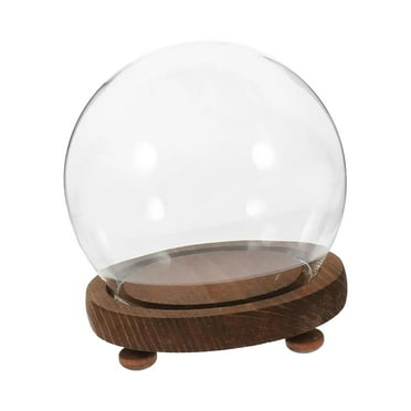 Acrylic Display Dome Case Cloche Globe for Collectables, Specimens ...