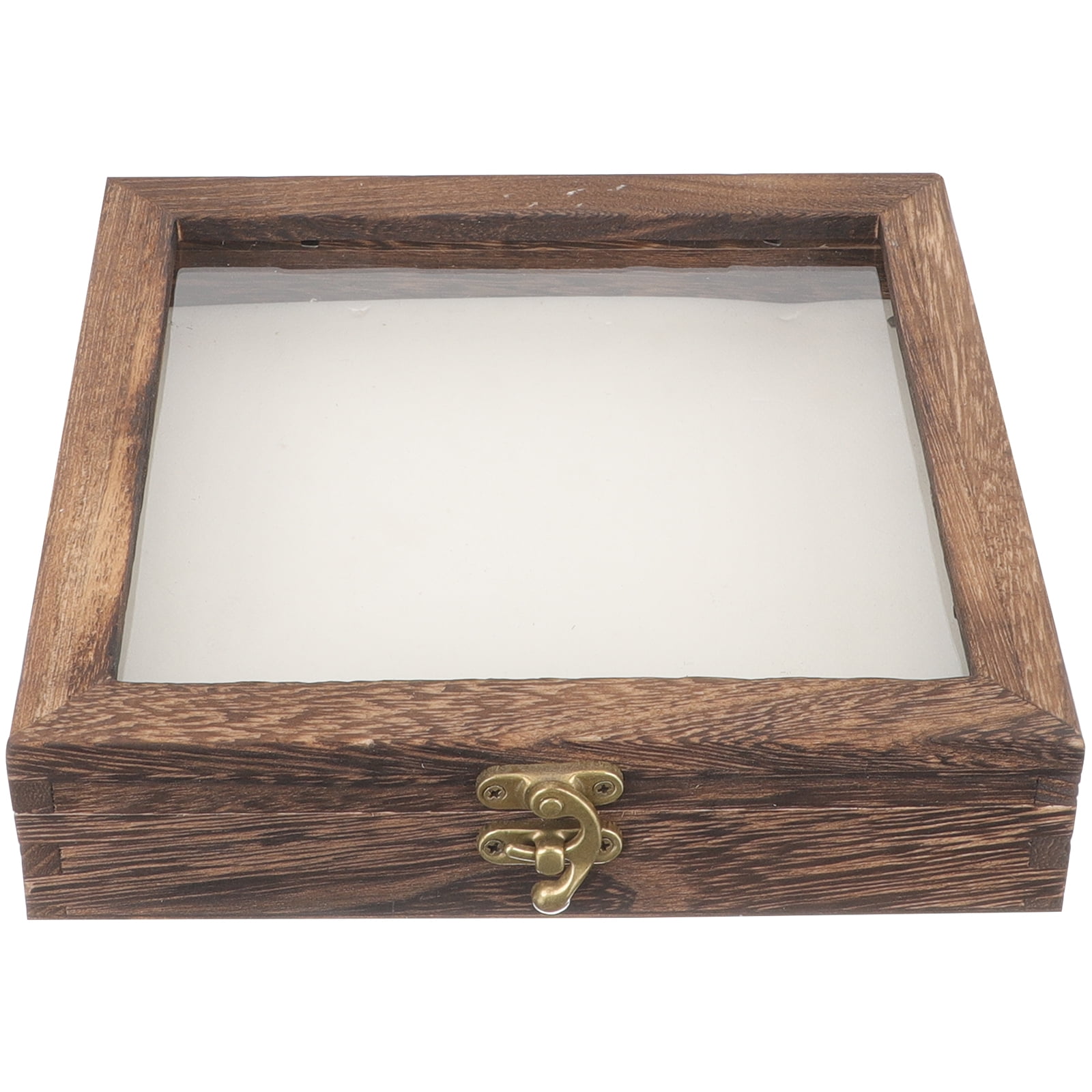 Display Case Transparent Specimen Box Vintage Display Box 20x20cm ...