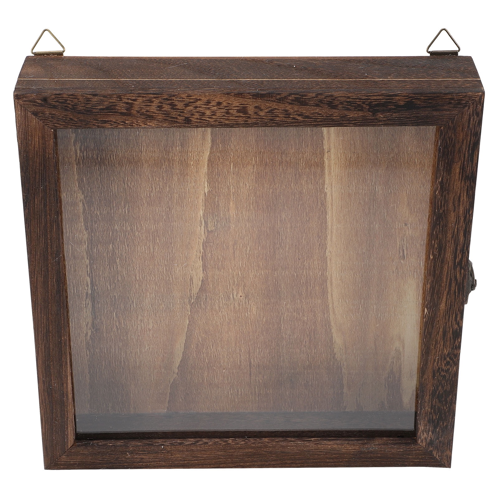 Display Case Vintage Specimen Box Picture Frame Table Top Decor Wall ...