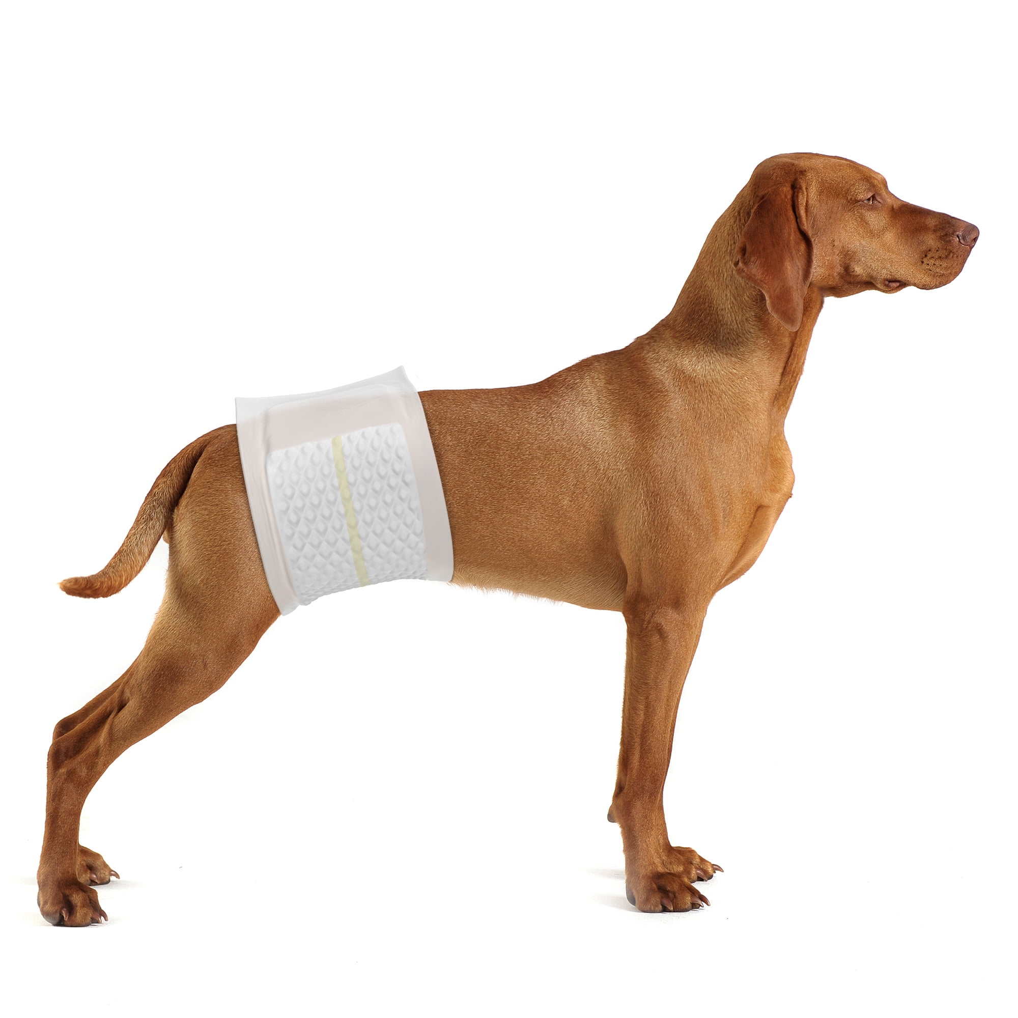 Disposable Dog Wraps for Male Dogs, Adjustable, Super Absorbent Diapers ...
