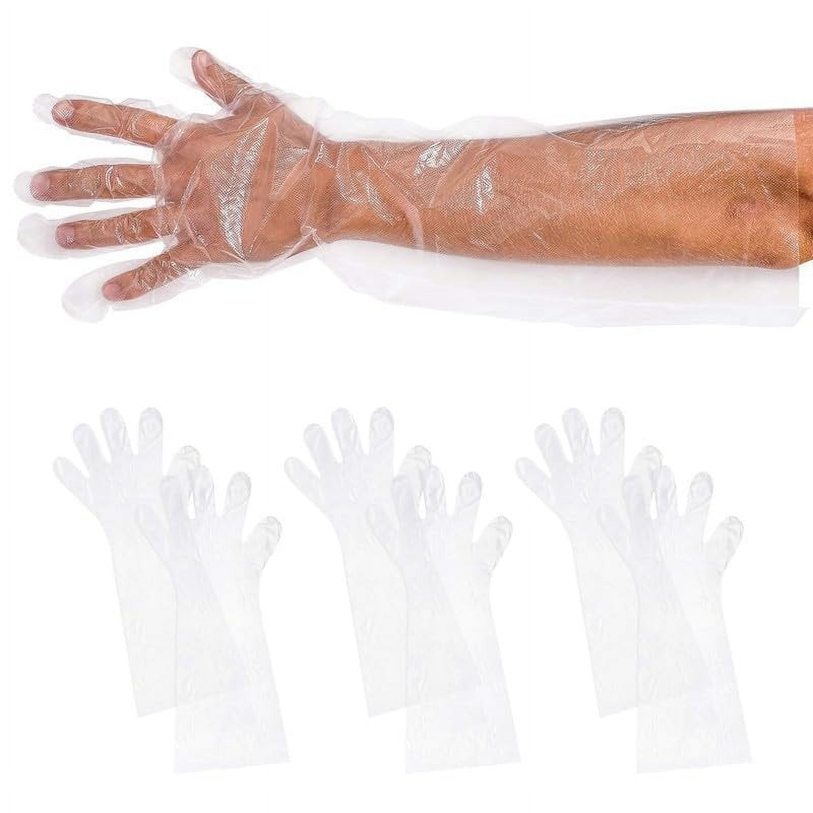 Disposable Elbow Gloves, 22 Inch Long. Pack of 1000 Clear Disposable ...