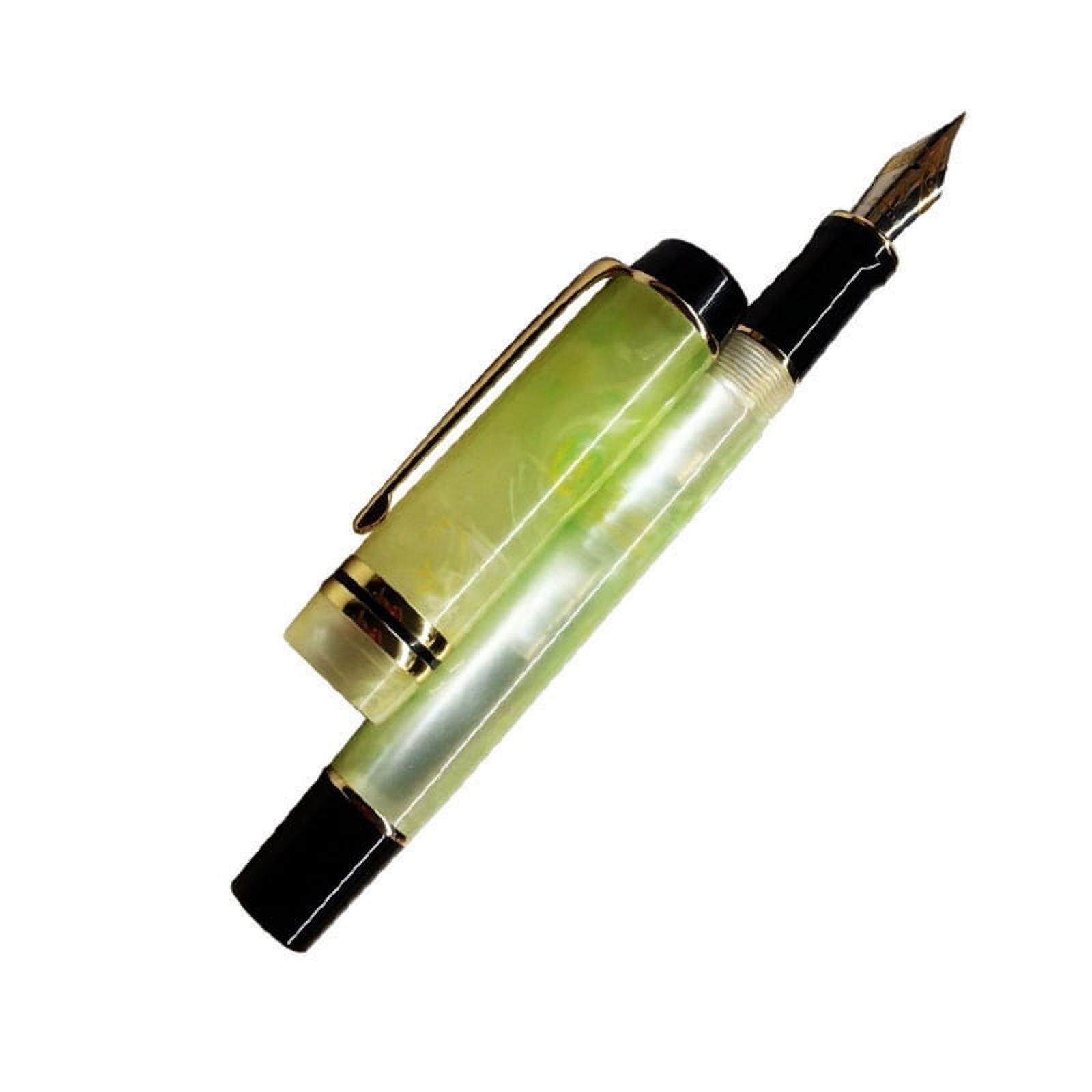 Disposable Fountain Pens, Ink Fine Point Pens Smooth Writing ...