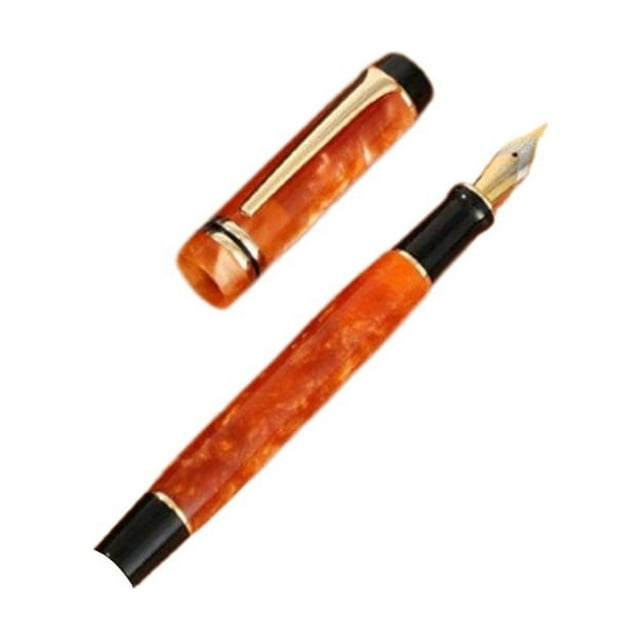 Disposable Fountain Pens, Ink Fine Point Pens Smooth Writing ...