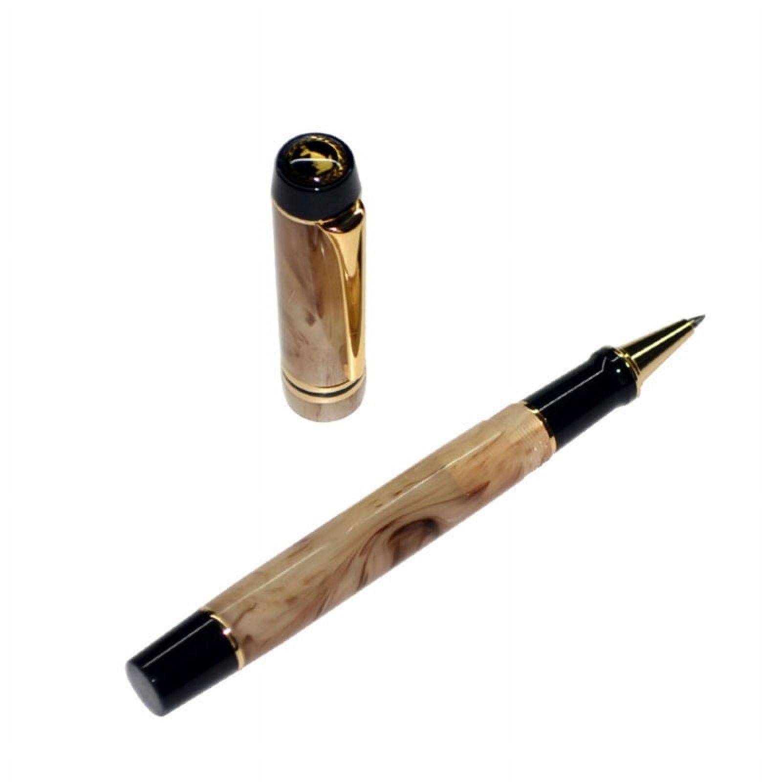 Disposable Fountain Pens, Ink Fine Point Pens Smooth Writing ...