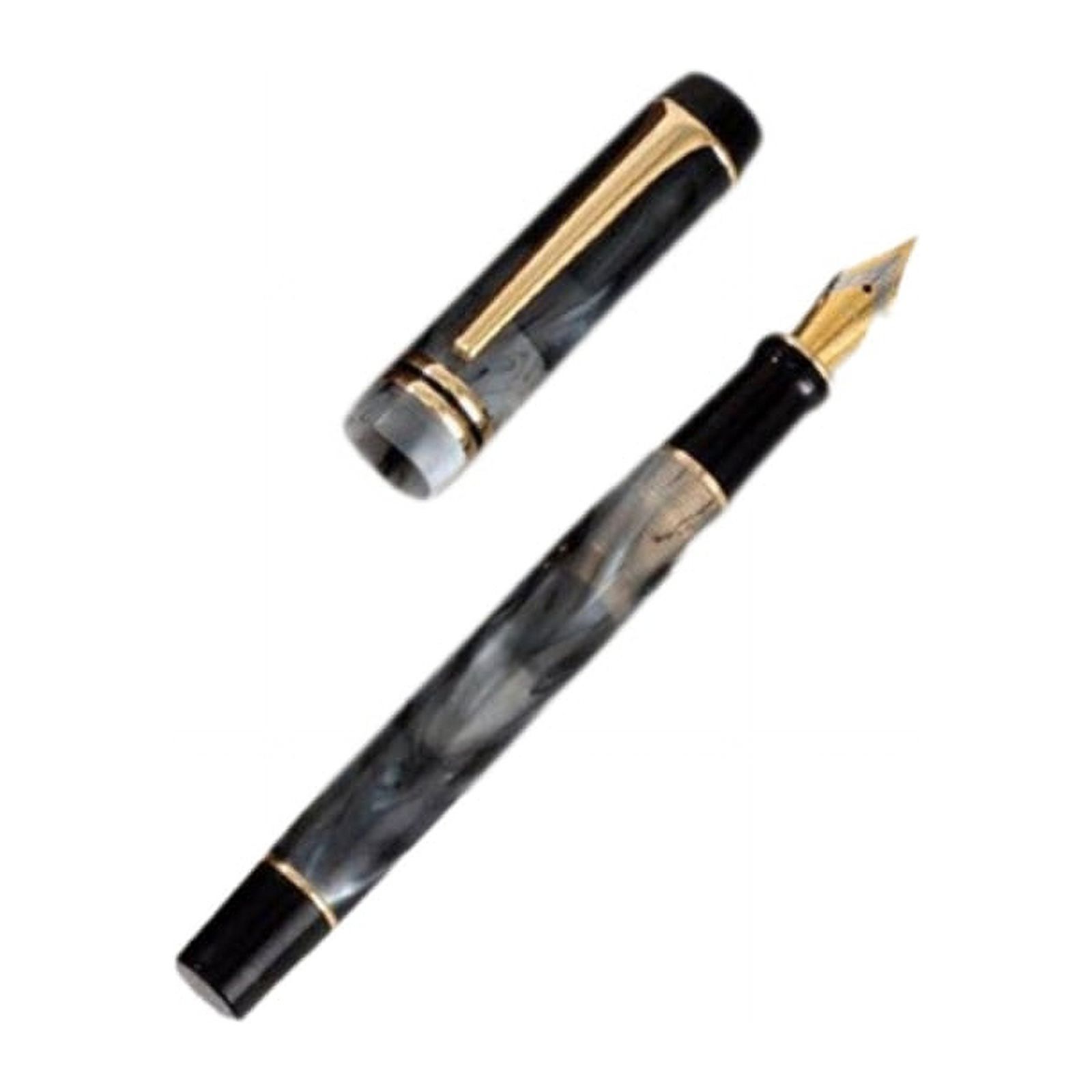 Disposable Fountain Pens, Ink Fine Point Pens Smooth Writing ...