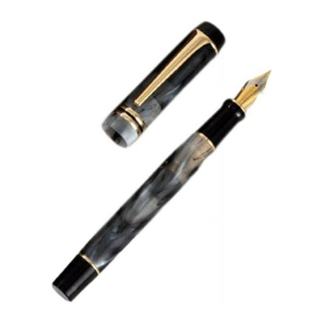 Disposable Fountain Pens, Ink Fine Point Pens Smooth Writing ...