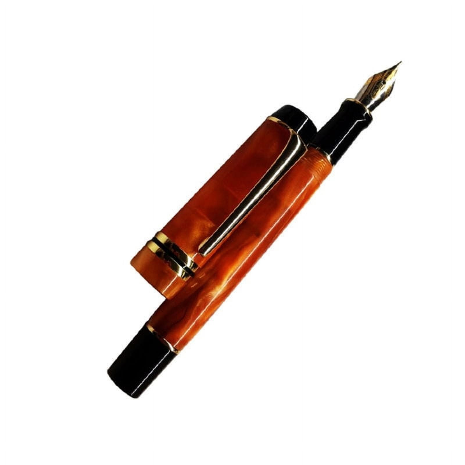 Disposable Fountain Pens, Ink Fine Point Pens Smooth Writing ...