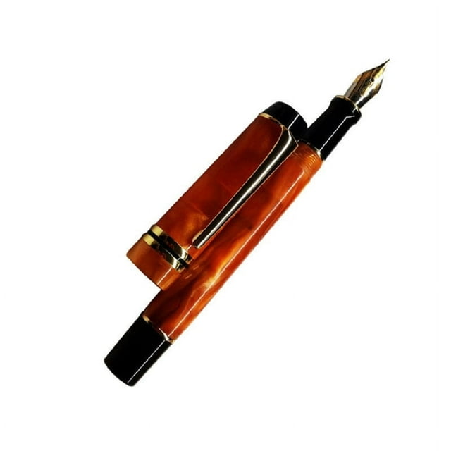 Disposable Fountain Pens, Ink Fine Point Pens Smooth Writing ...