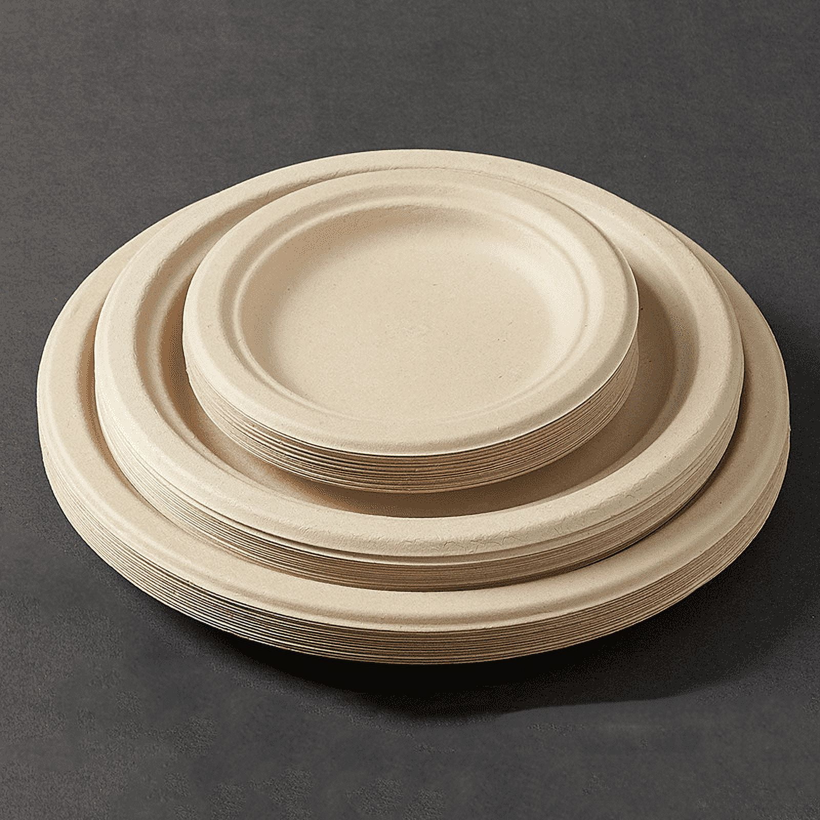 Disposable Plate Paper Plate Catering Food Grade Kindergarten Drawing ...