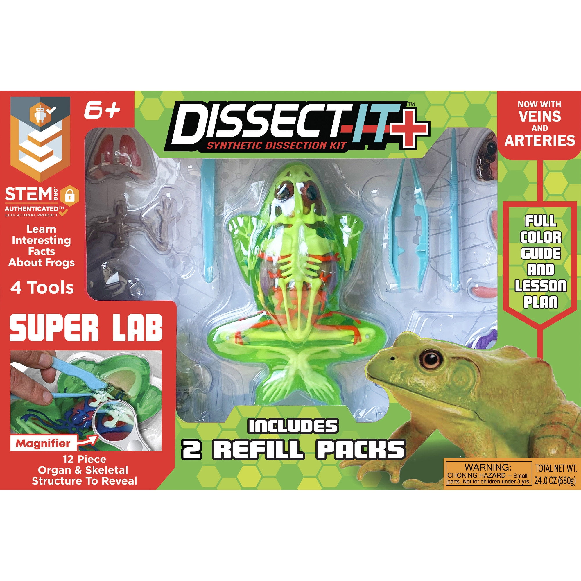 Dissect-It: Deluxe Super Frog Lab - Synthetic Dissection Kit, Realistic ...