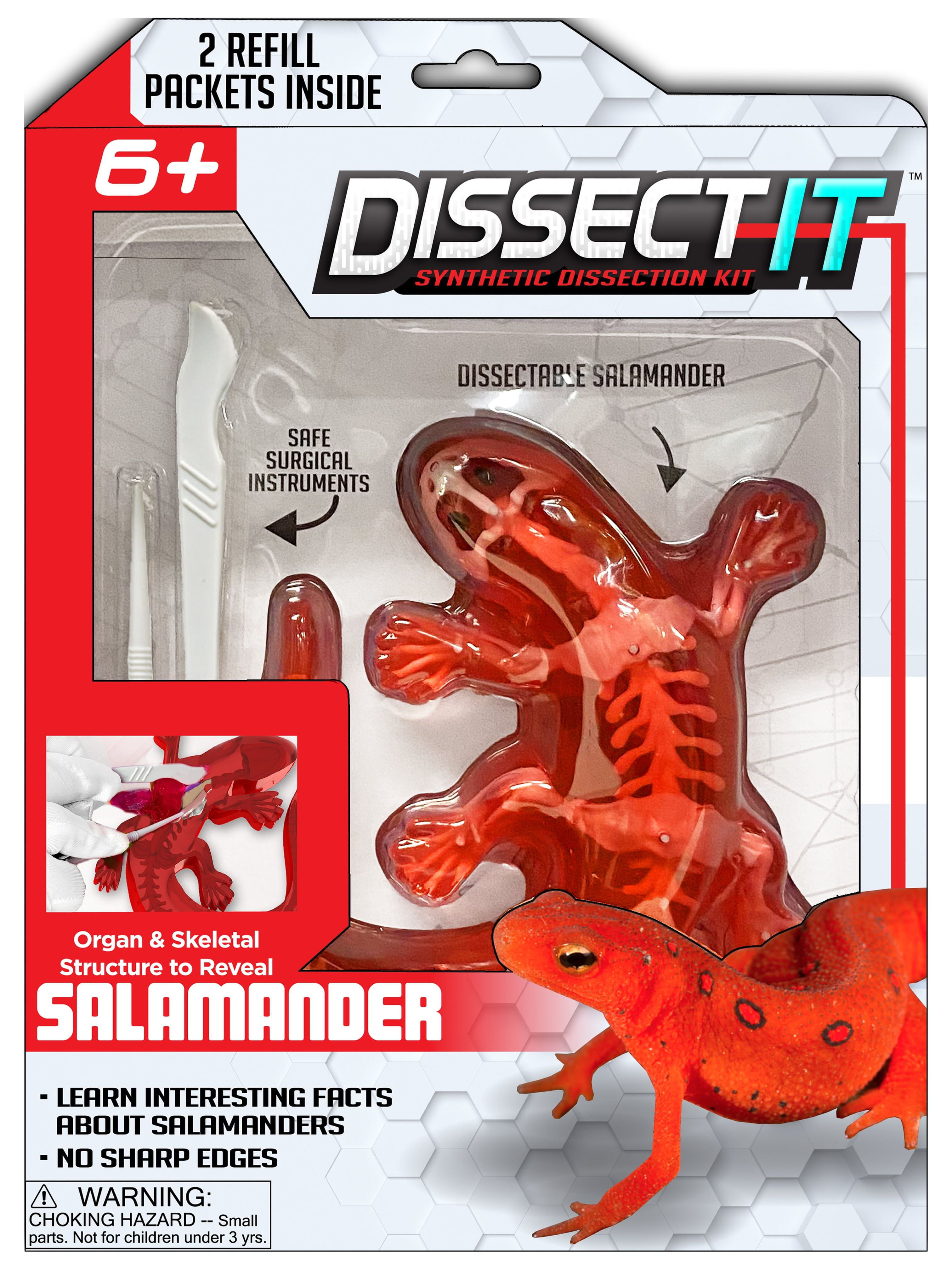 Dissect-It Salamander Lab Interactive Simulation Stem Toy, Anatomy, for ...