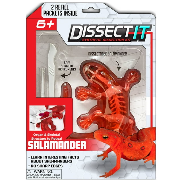 Dissect-It Salamander Lab Interactive Simulation Stem Toy, Anatomy, for ...