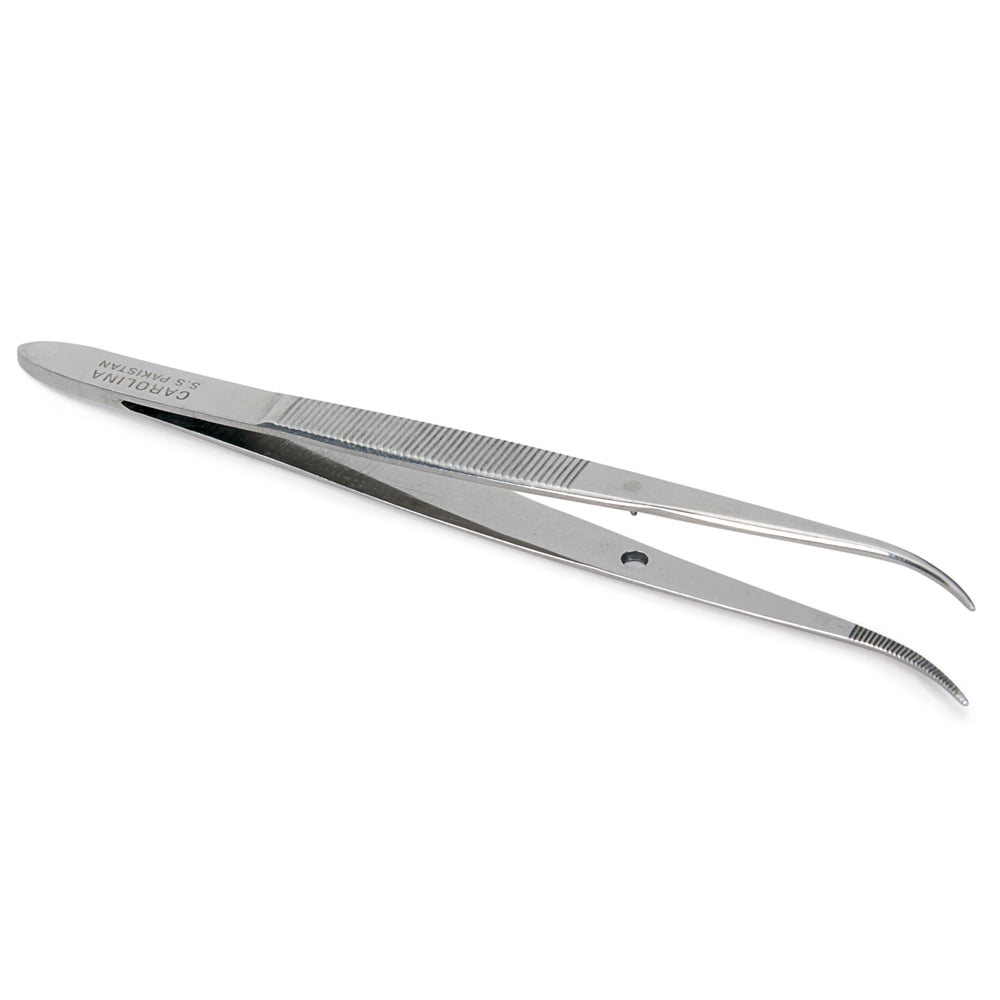 Dissecting Forceps, Fine Points, Stainless Steel, Curved, 4 1/2 In ...
