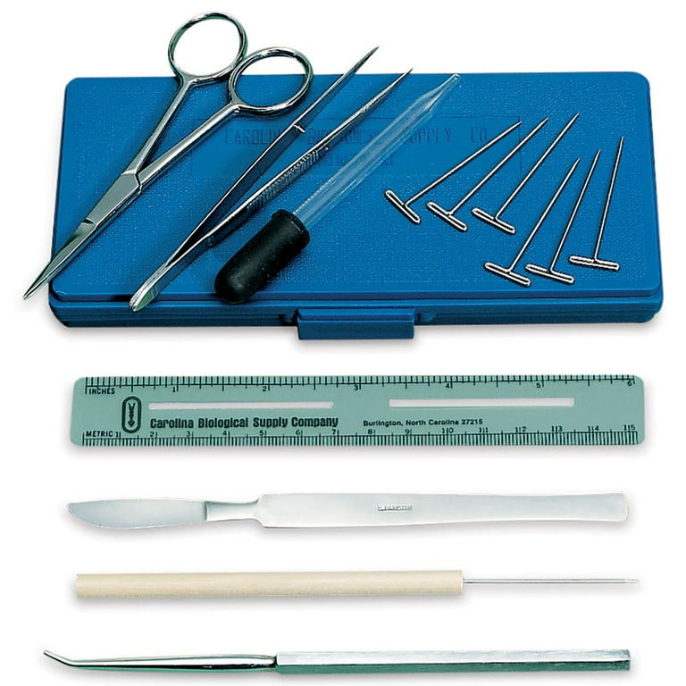 Dissecting Forceps Plastic