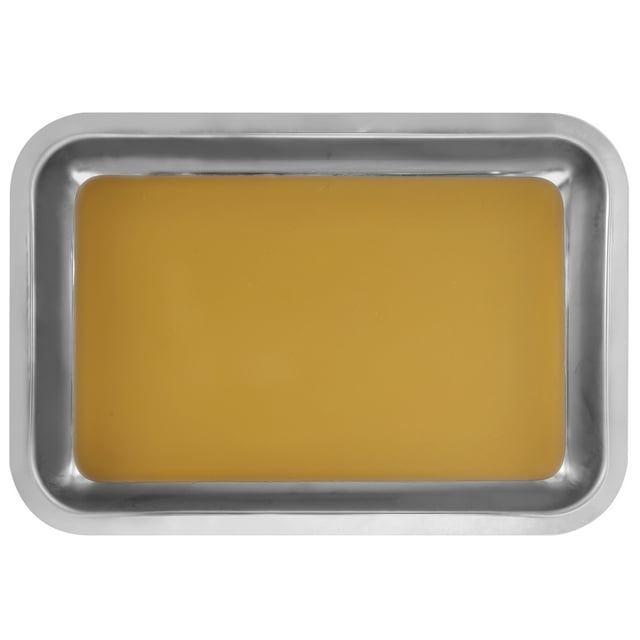 Dissecting Tray Wax Dissection Tray Labs Dissection Plate for ...