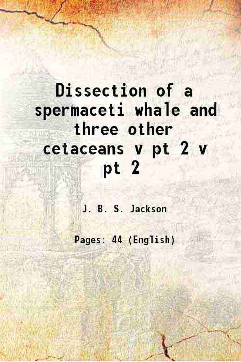 Dissection of a spermaceti whale and three other cetaceans Volume v pt ...