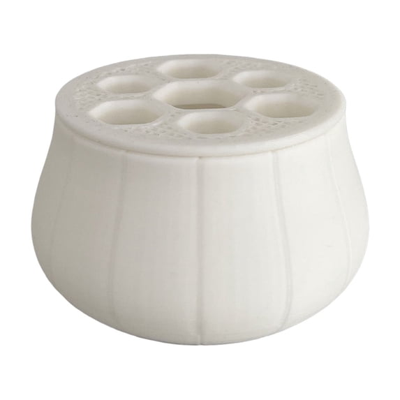 Disseminators for Home Hydroponics Contemporary Onion Grower for Indoor ...