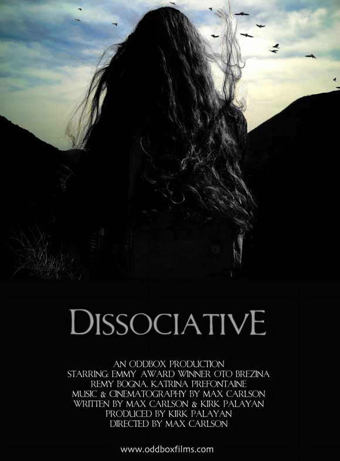 Dissociative - movie POSTER (Style A) (27" x 40") (2008) - Walmart.com