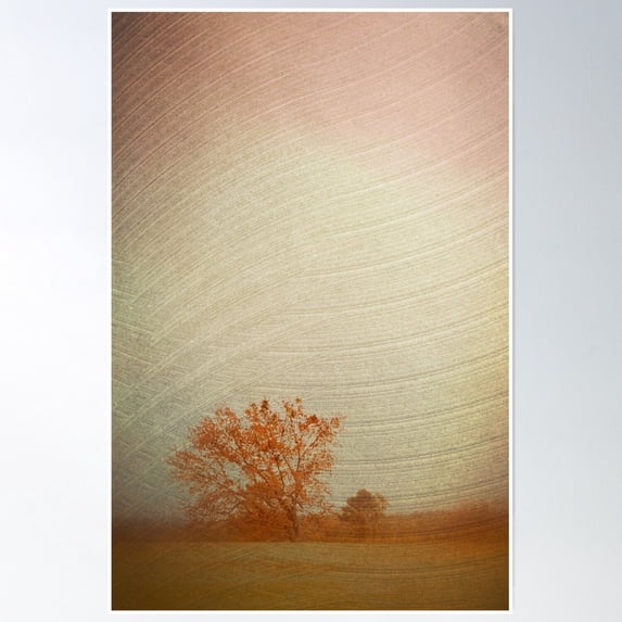 Distant Trees Poster Wall Art Modern Wall Decor Wall Art Home Decor ...