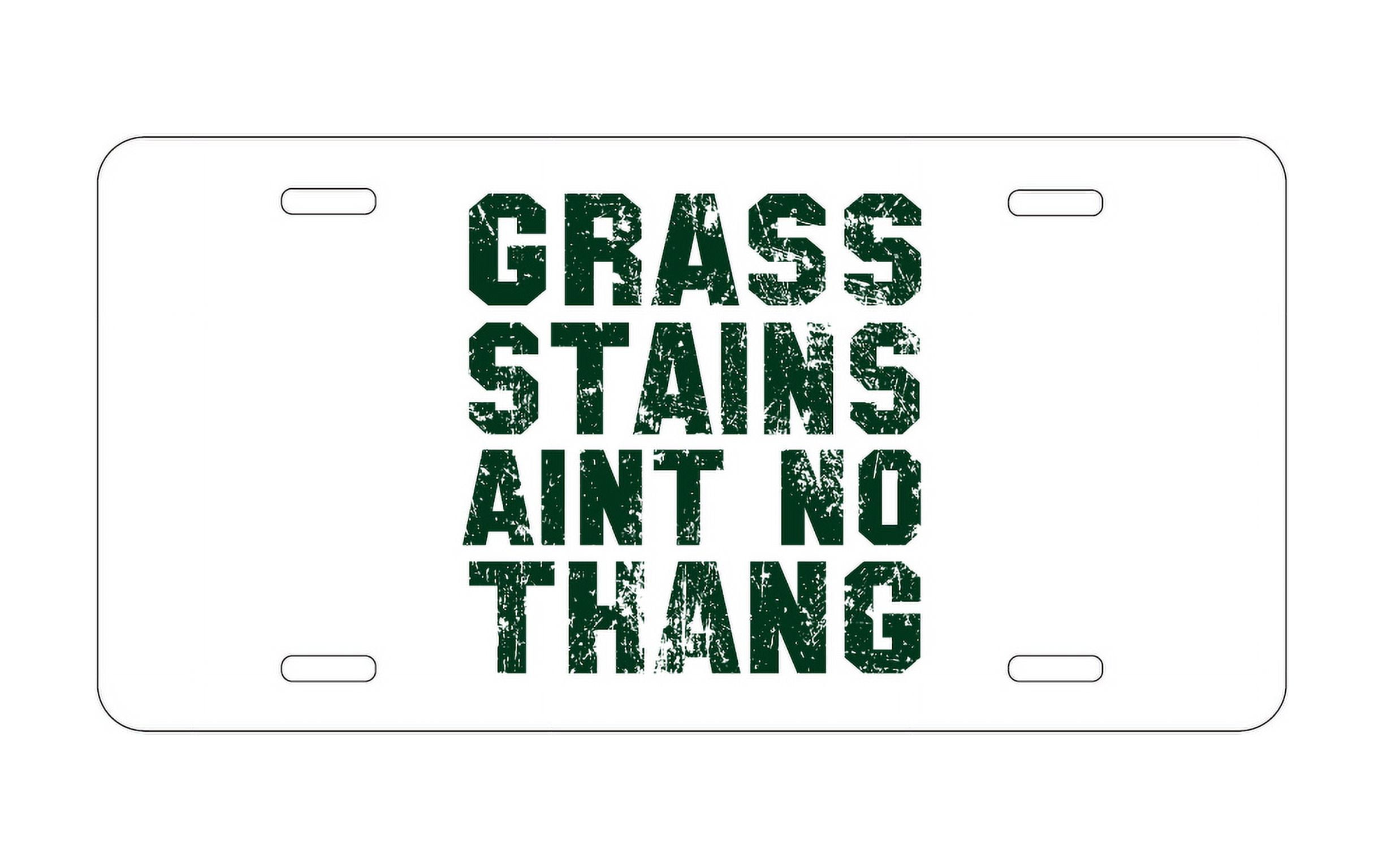 DistinctInk Custom Aluminum Vanity License Plate for Front of Car ...