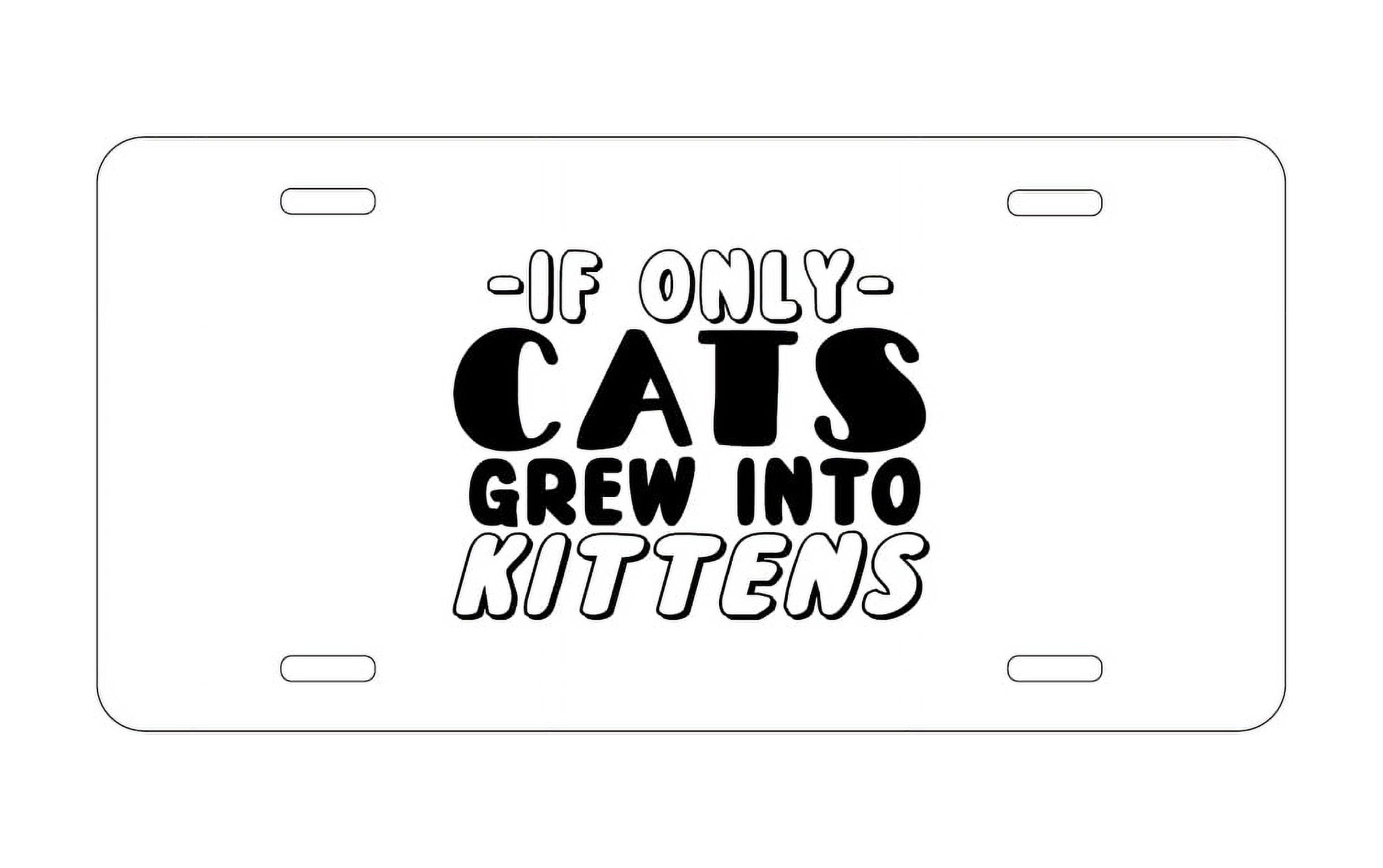 DistinctInk Custom Aluminum Vanity License Plate for Front of Car - If ...