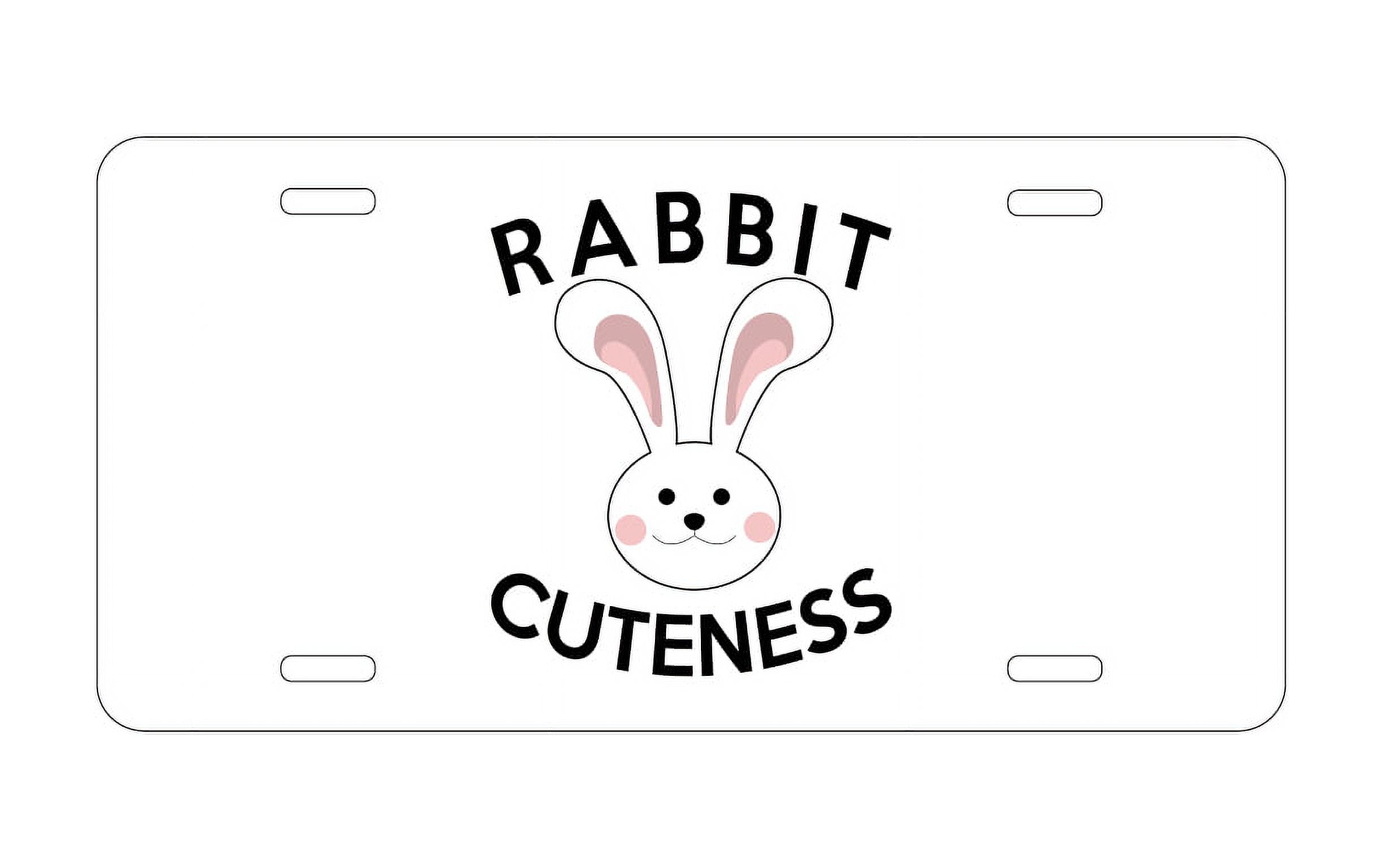 DistinctInk Custom Aluminum Vanity License Plate for Front of Car ...