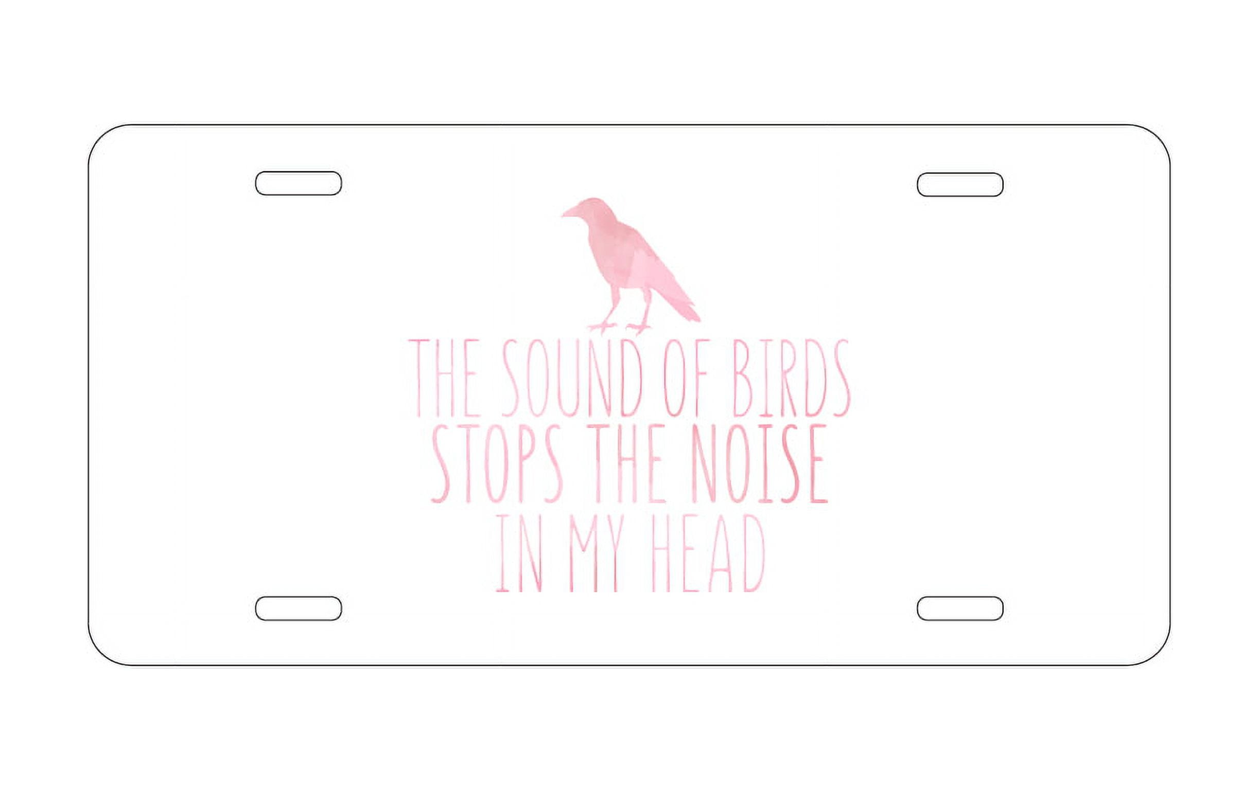 DistinctInk Custom Aluminum Vanity License Plate for Front of Car - The ...