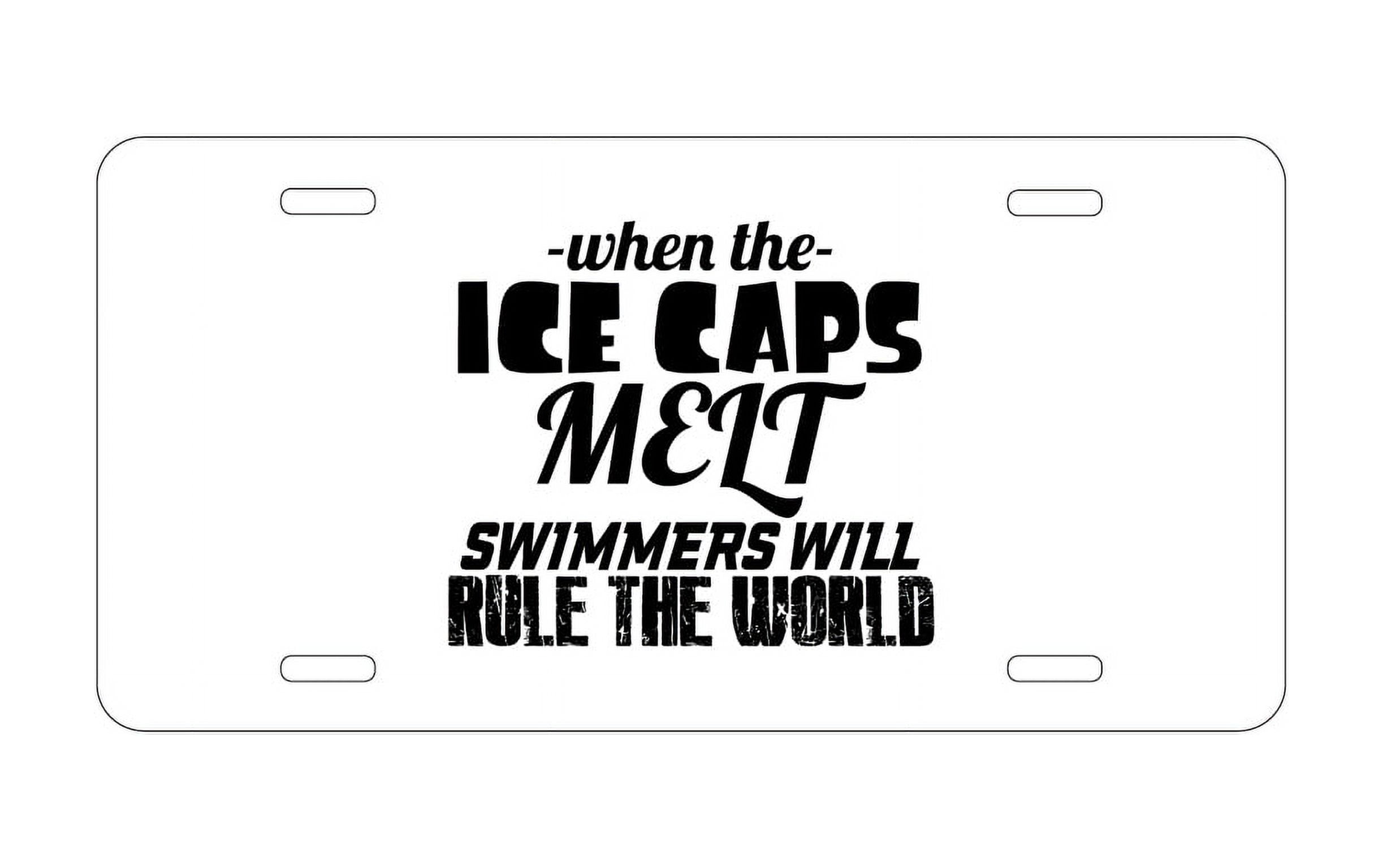 DistinctInk Custom Aluminum Vanity License Plate for Front of Car ...