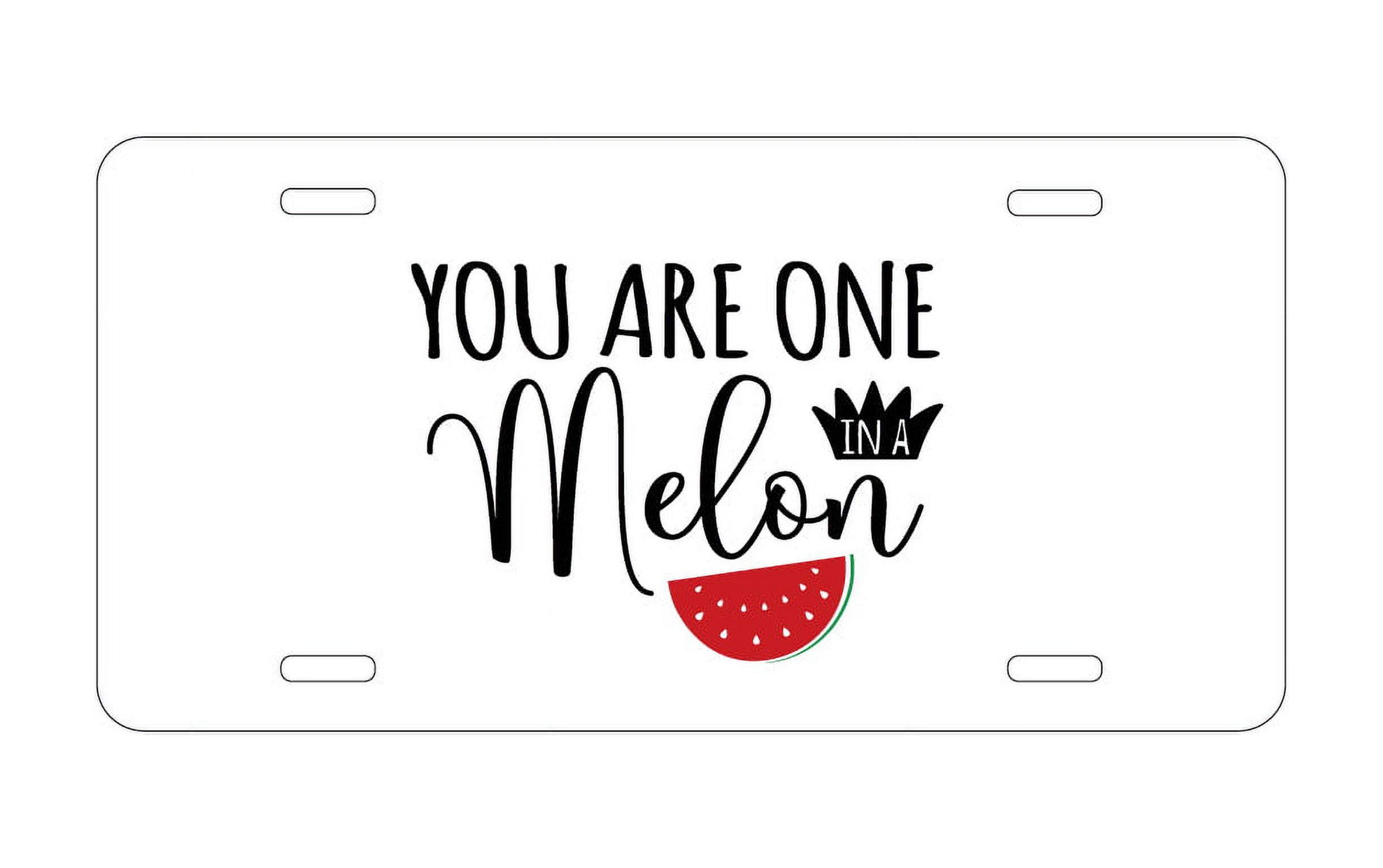 DistinctInk Custom Aluminum Vanity License Plate for Front of Car - You ...