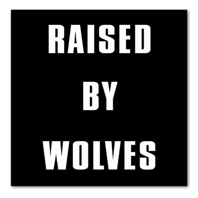 DistinctInk Custom Bumper Sticker - 10" x 10" Decorative Decal - Black ...